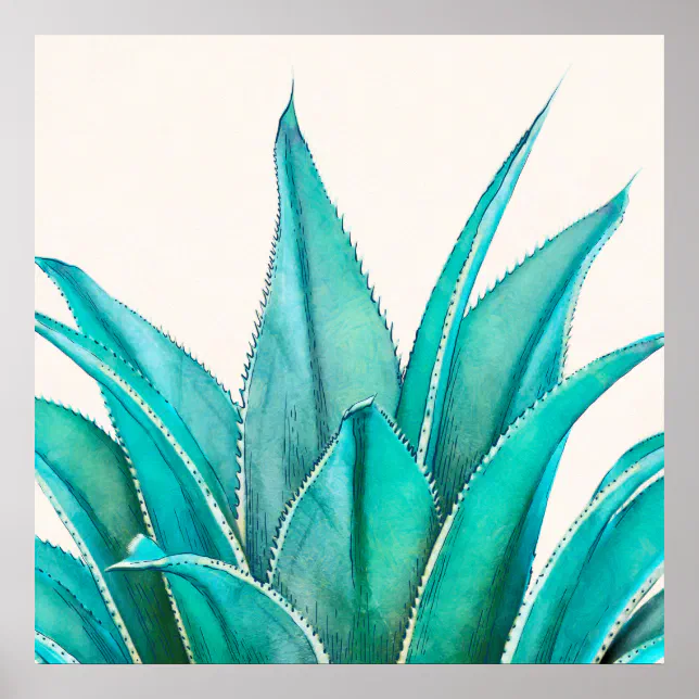 Agave Poster | Zazzle