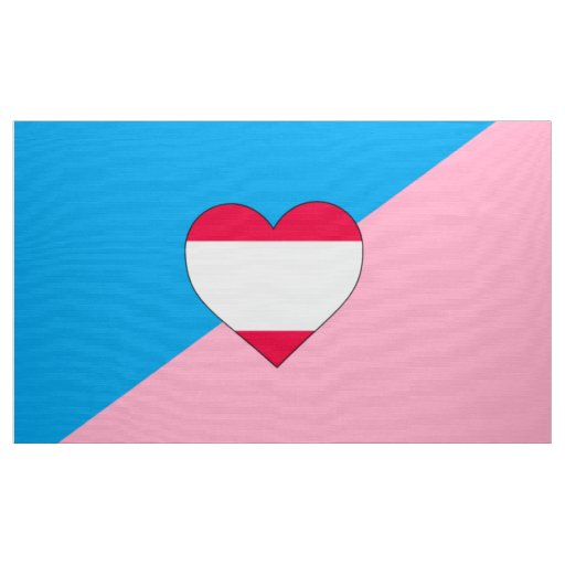 Age Play Pride Flag Fabric | Zazzle