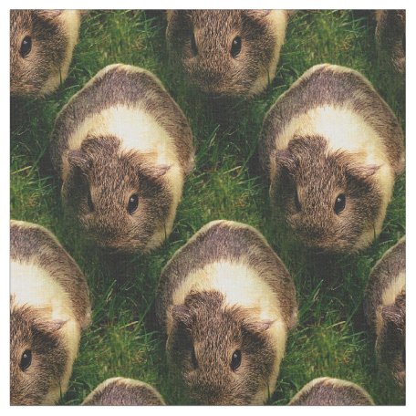 Cute Guinea Pig Fabric | Zazzle