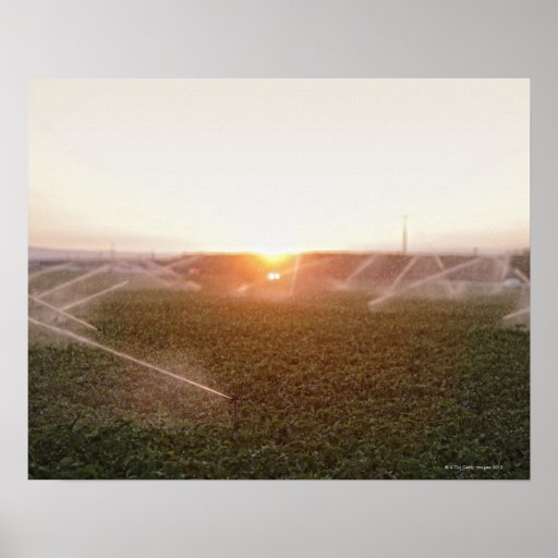Agricultural irrigation system watering poster | Zazzle