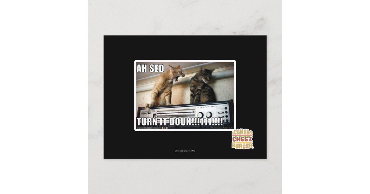 Ah Sed Turn it Down!! Postcard | Zazzle