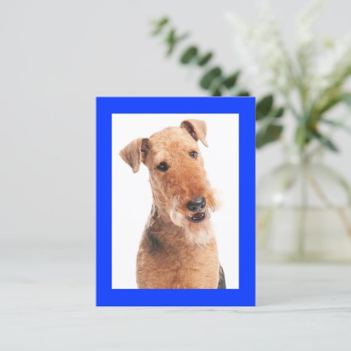 Airedale Terrier Puppy Dog Blue Postcard | Zazzle