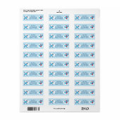 Airplane Aviator Baby Boy Address Labels | Zazzle