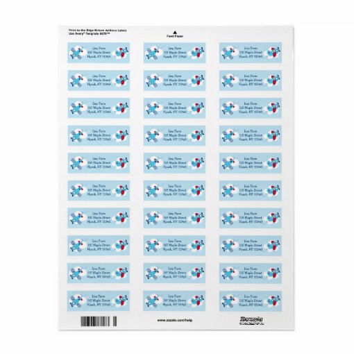 Airplane Aviator Baby Boy Address Labels | Zazzle