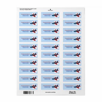 Airplane Custom Address Labels | Zazzle