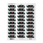 Airplane Fun Address Labels | Zazzle