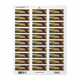 Airplane Propeller Return Address Labels | Zazzle