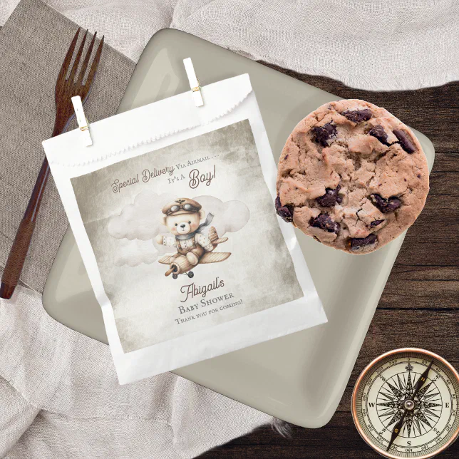 Airplane Teddy Bear Special Delivery Baby Shower Favor Bag | Zazzle
