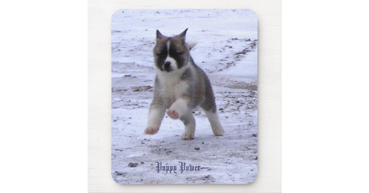 Akita Pup Mouse Pad | Zazzle