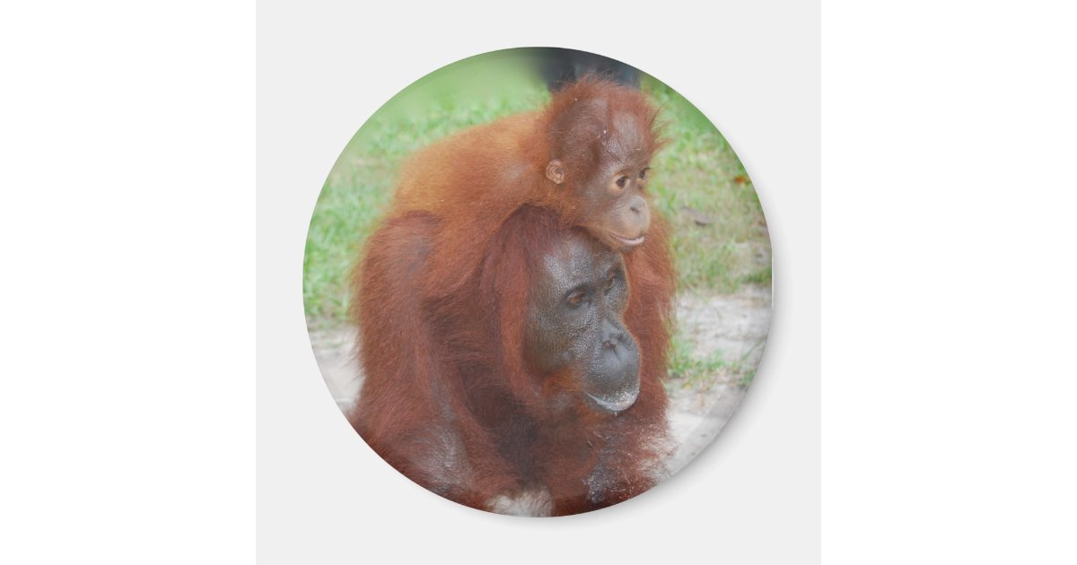 Akmad and Baby Boy Magnet | Zazzle