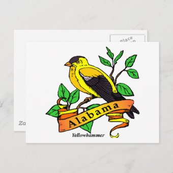 Alabama State Bird Postcard | Zazzle
