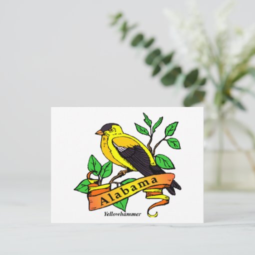 Alabama State Bird Postcard | Zazzle