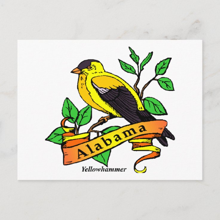 Alabama State Bird Postcard | Zazzle