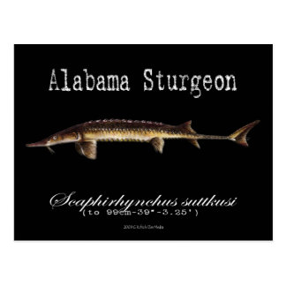 Alabama Fish Gifts - 500+ Gift Ideas | Zazzle