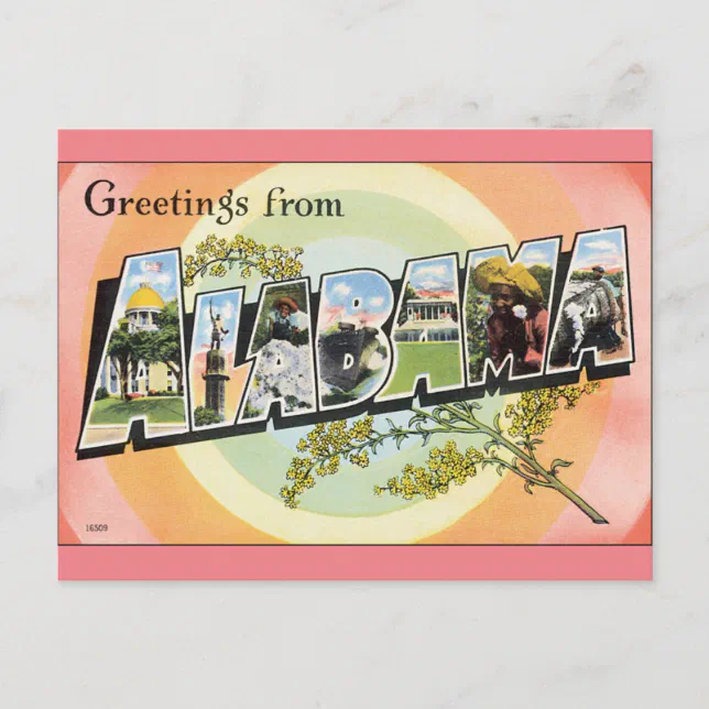 Alabama - Vintage Alabama Travel Postcard | Zazzle