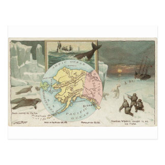 Vintage Alaska Postcards | Zazzle