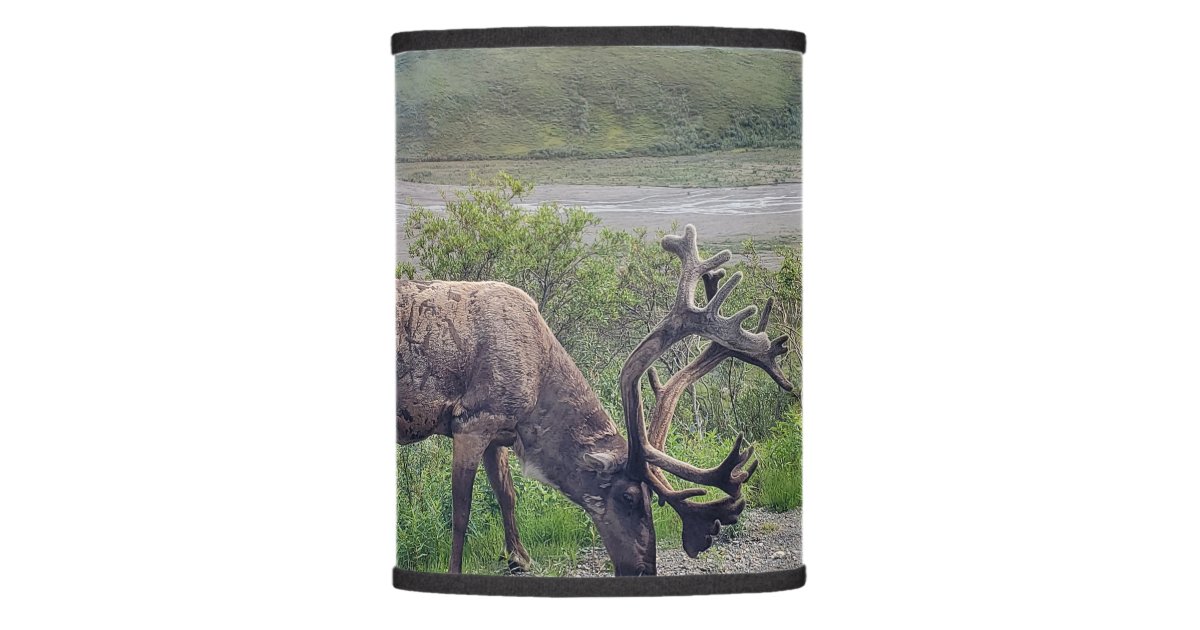 Alaska - Caribou 1 Lamp Shade | Zazzle