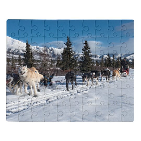 Alaska Husky Dog Sled Race Jigsaw Puzzle | Zazzle.com