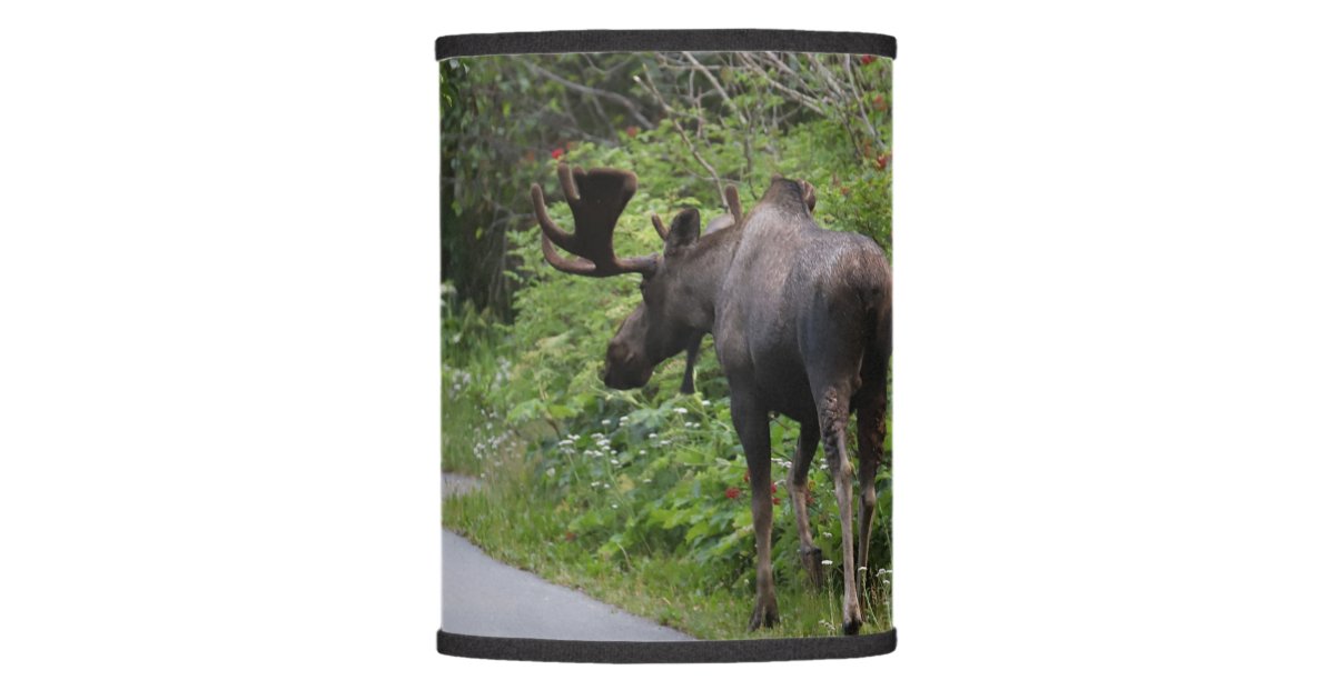 Alaska - Moose Lamp Shade | Zazzle