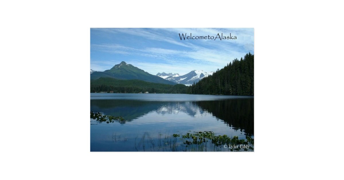 alaska postcard | Zazzle.com
