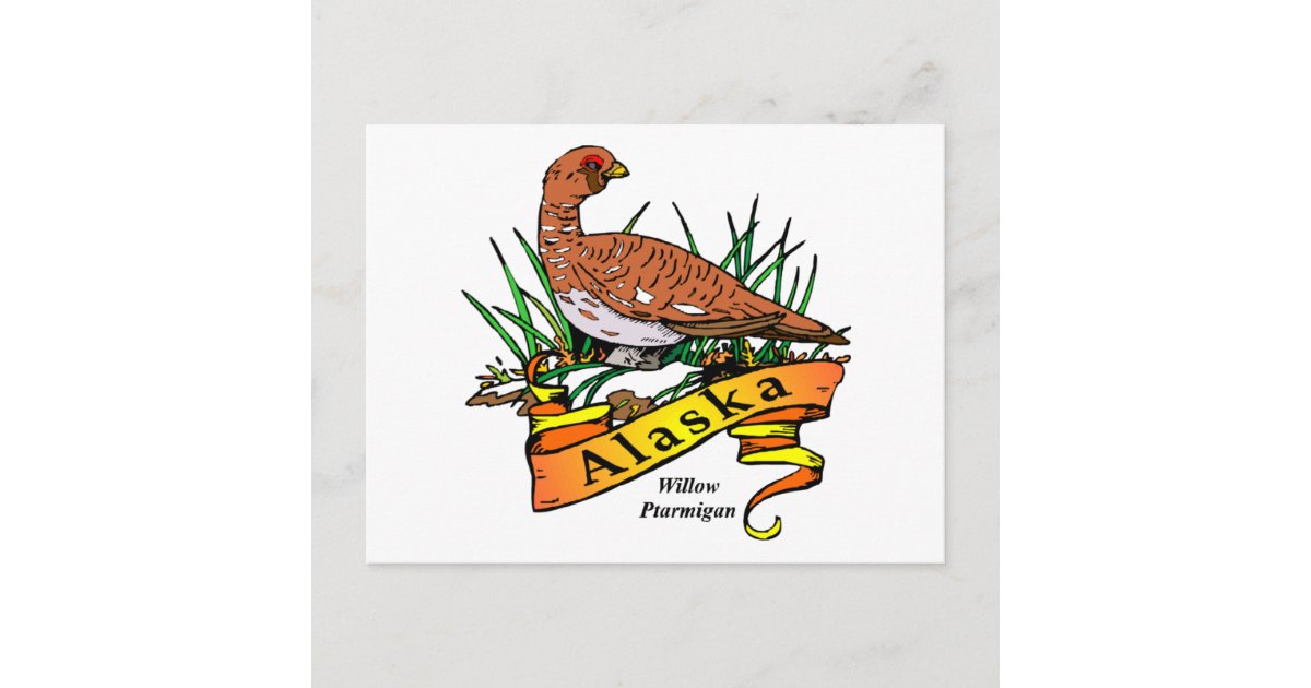 Alaska State Bird - Willow Ptarmigan Postcard | Zazzle