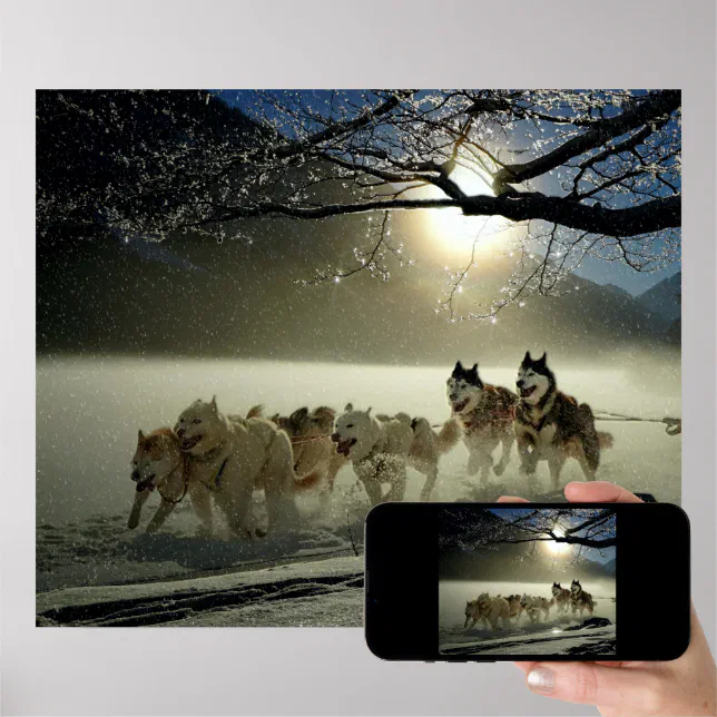 Alaskan Husky Dog Sled Race Poster | Zazzle