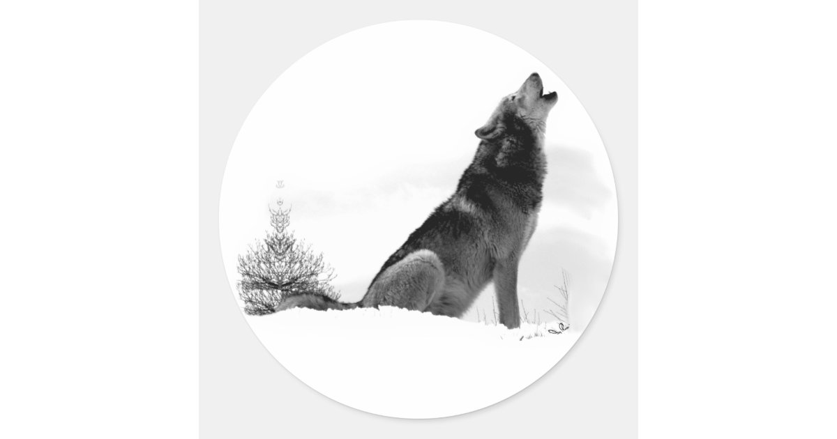 Alaskan Timber Wolf Sticker | Zazzle