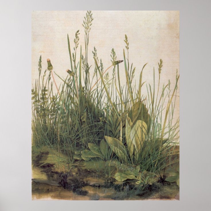 Albrecht Durer Great Piece of Turf Poster | Zazzle