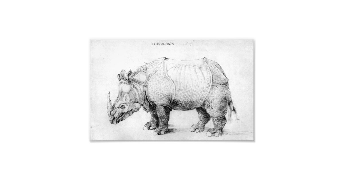 Albrecht Durer Rhinoceros Photo Print | Zazzle