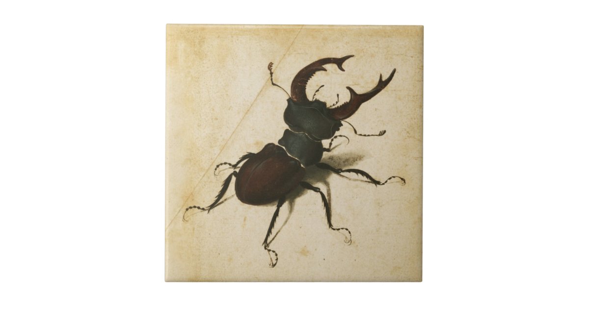 Albrecht Durer Stag Beetle Renaissance Art Drawing Tile | Zazzle
