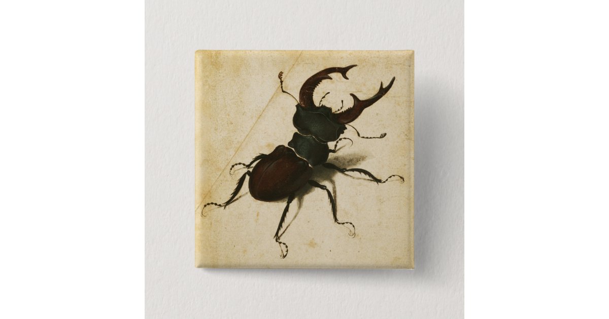 Albrecht Durer Stag Beetle Renaissance Vintage Art Button | Zazzle