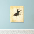 Albrecht Durer Stag Beetle Renaissance Vintage Art Canvas Print | Zazzle