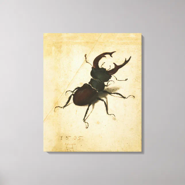 Albrecht Durer Stag Beetle Renaissance Vintage Art Canvas Print | Zazzle