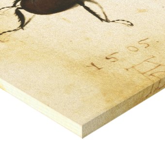 Albrecht Durer Stag Beetle Renaissance Vintage Art Canvas Print | Zazzle