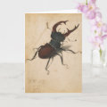 Albrecht Durer Stag Beetle Renaissance Vintage Art Card | Zazzle