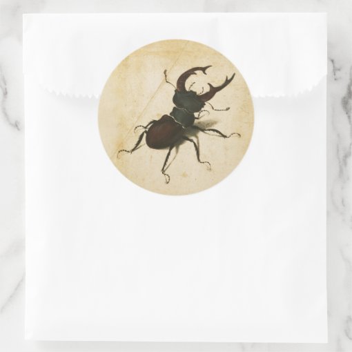 Albrecht Durer Stag Beetle Renaissance Vintage Art Classic Round ...