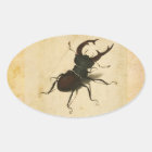 Albrecht Durer Stag Beetle Renaissance Vintage Art Classic Round ...