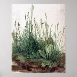 Albrecht Dürer The Large Piece of Turf Poster | Zazzle