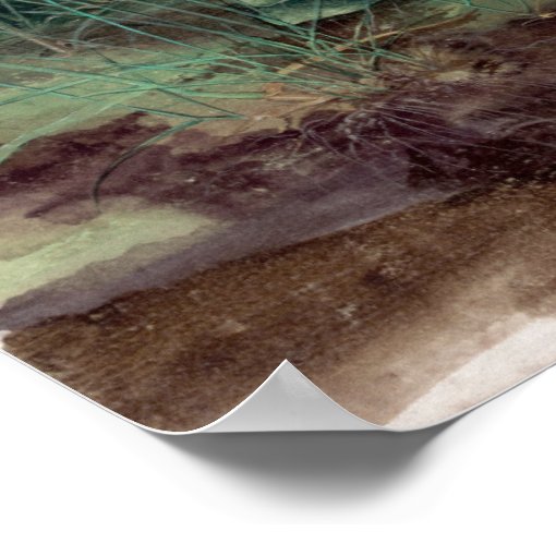 Albrecht Dürer The Large Piece of Turf Poster | Zazzle