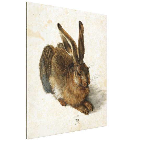 ALBRECHT DÜRER - Young hare 1502 Canvas Print | Zazzle.com