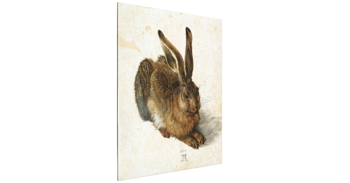 ALBRECHT DÜRER - Young hare 1502 Canvas Print | Zazzle