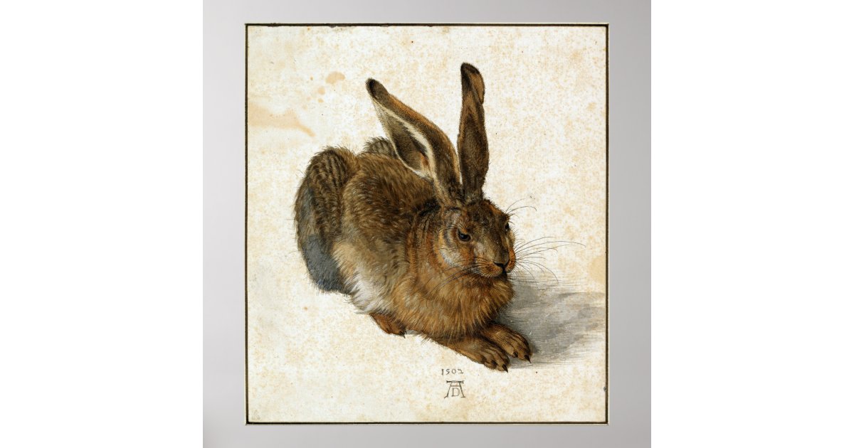 ALBRECHT DÜRER - Young hare 1502 Poster | Zazzle
