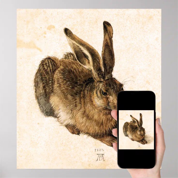 Albrecht Durer Young Hare Poster | Zazzle