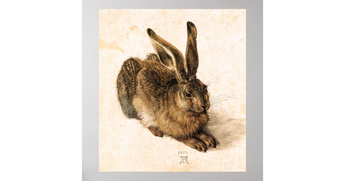 Albrecht Durer Young Hare Poster | Zazzle