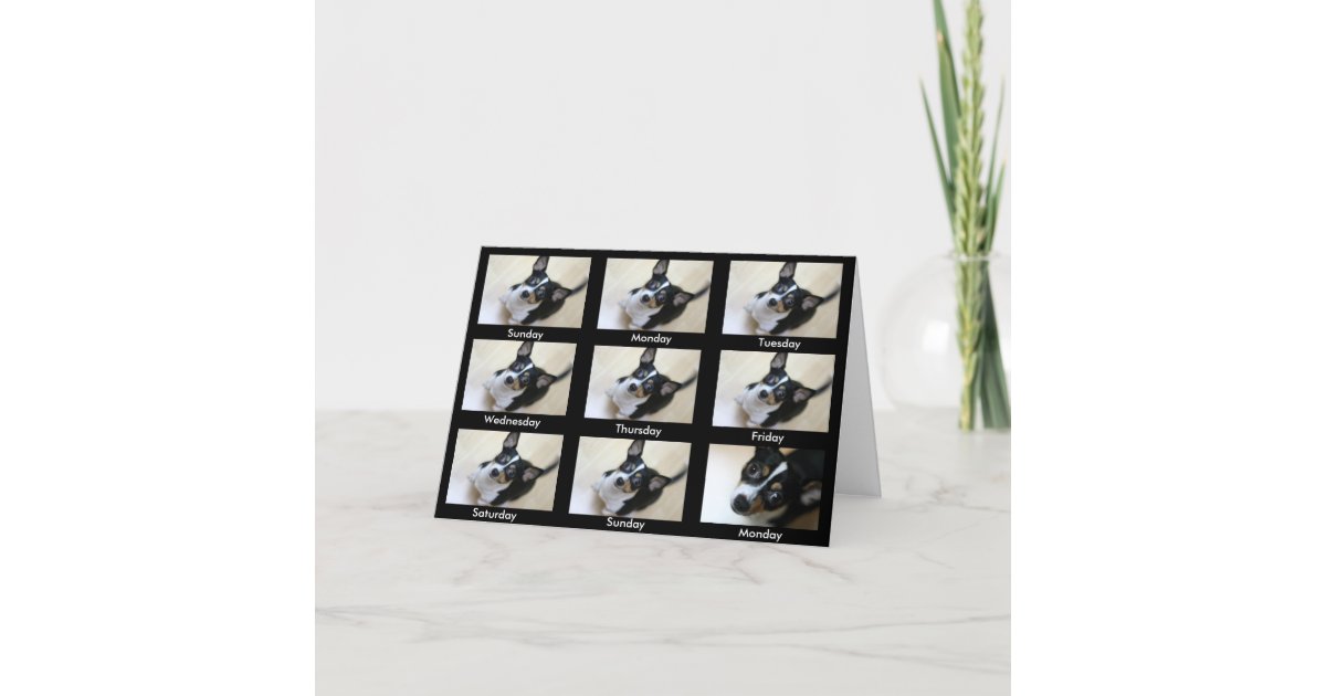 Alcoholics Anonymous "Keep coming back..." Card | Zazzle