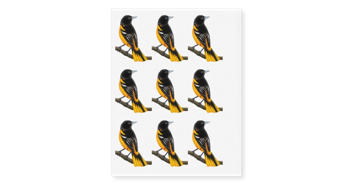 Alert Baltimore Oriole Bird Temporary Tattoo | Zazzle
