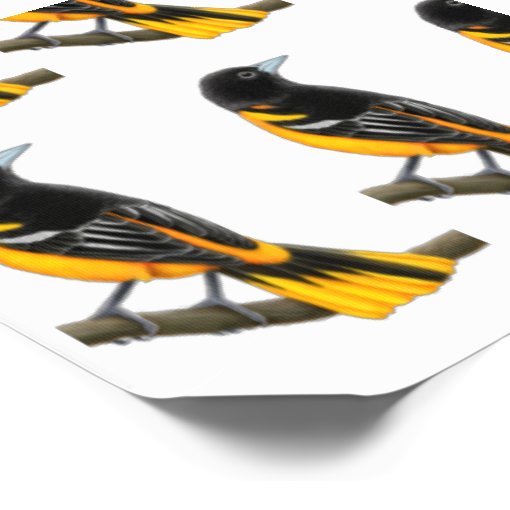 Alert Baltimore Oriole Bird Temporary Tattoo | Zazzle