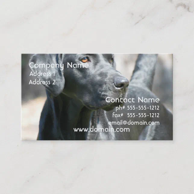 Alert Black Labrador Retriever Business Cards | Zazzle