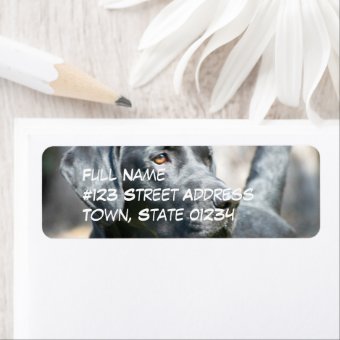 Alert Black Labrador Retriever Dog Mailing Labels | Zazzle