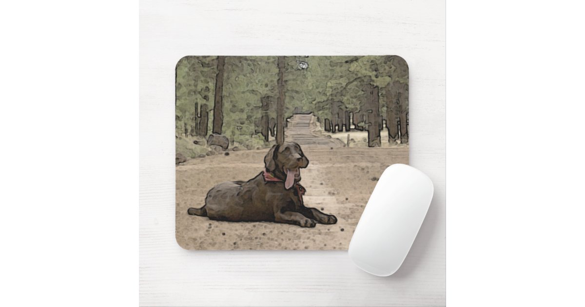 Alert Chocolate Lab On A Forest Trail Artwork Mouse Pad | Zazzle